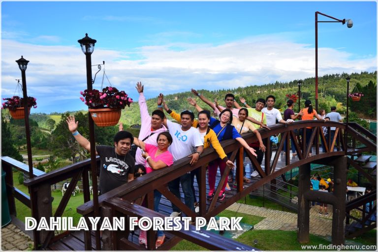 Dahilayan Forest Park in Bukidnon, Venue for Relaxation - Finding Henru